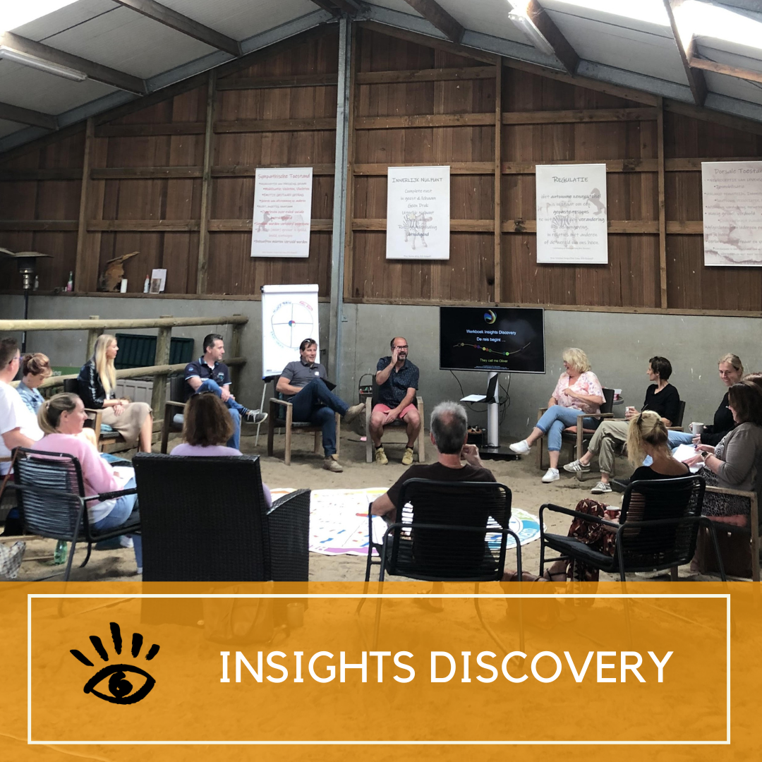 Enneagram & Insights - I For Horse